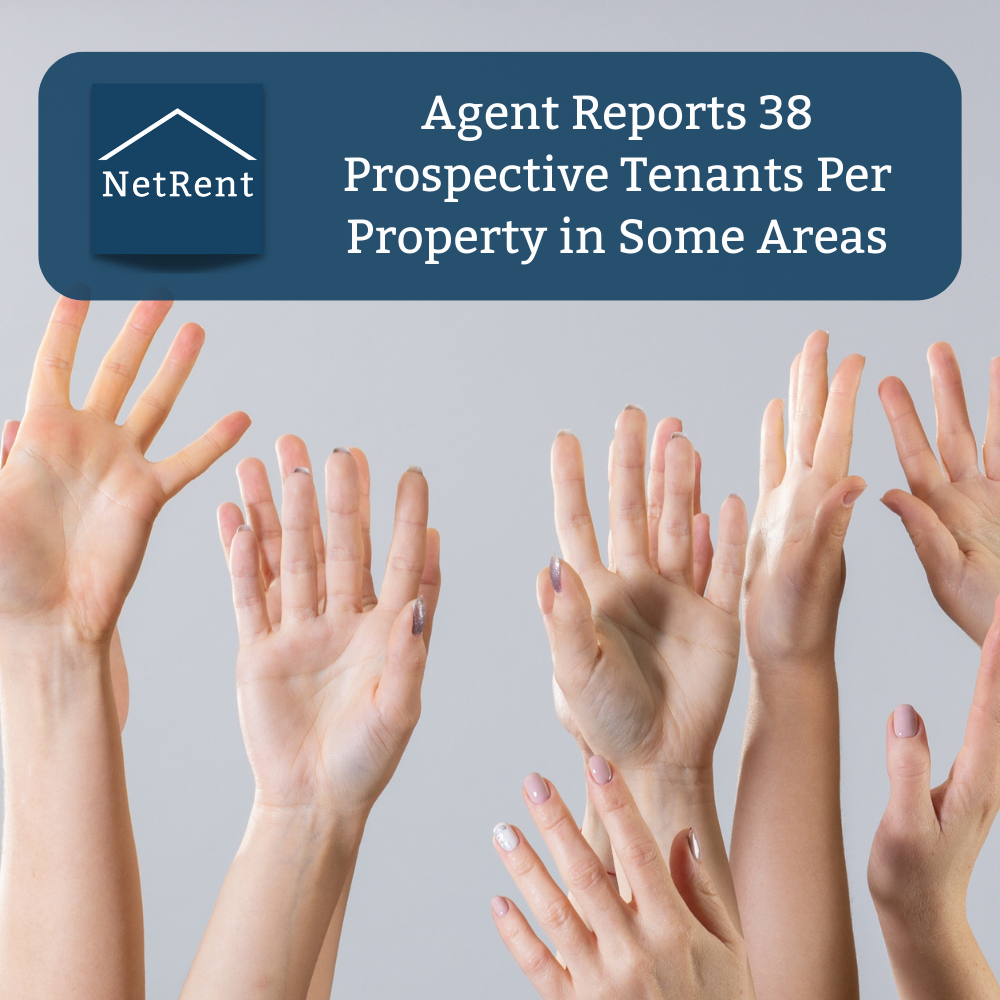 Agent Reports 38 Prospective Tenants Per Property in Some Areas - NetRent